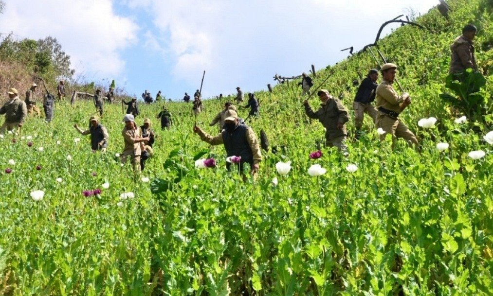 Attack by the Assam Rifles on Illegal Poppy Farming in Manipur ...
